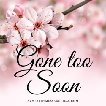 60 Gone too Soon Quotes & RIP Messages (with Images) - Sympathy Message ...