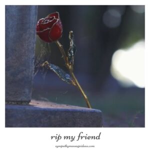 83 Touching Rest in Peace Quotes with Images - Sympathy Message Ideas