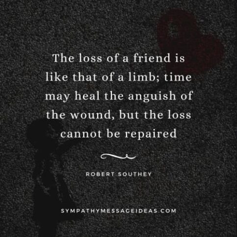 51 Comforting Quotes about Losing a Friend to Help you Cope - Sympathy ...