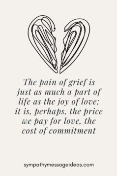 81 Grief Quotes that Help you Cope and Understand Loss (with Images ...