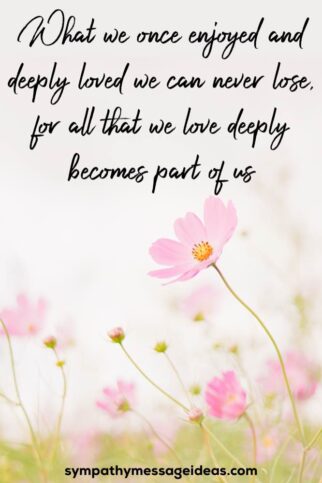 95 Funeral Quotes for Readings and Eulogies - Sympathy Message Ideas