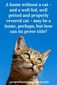 41 Heartfelt Loss of Cat Quotes and Images - Sympathy Message Ideas