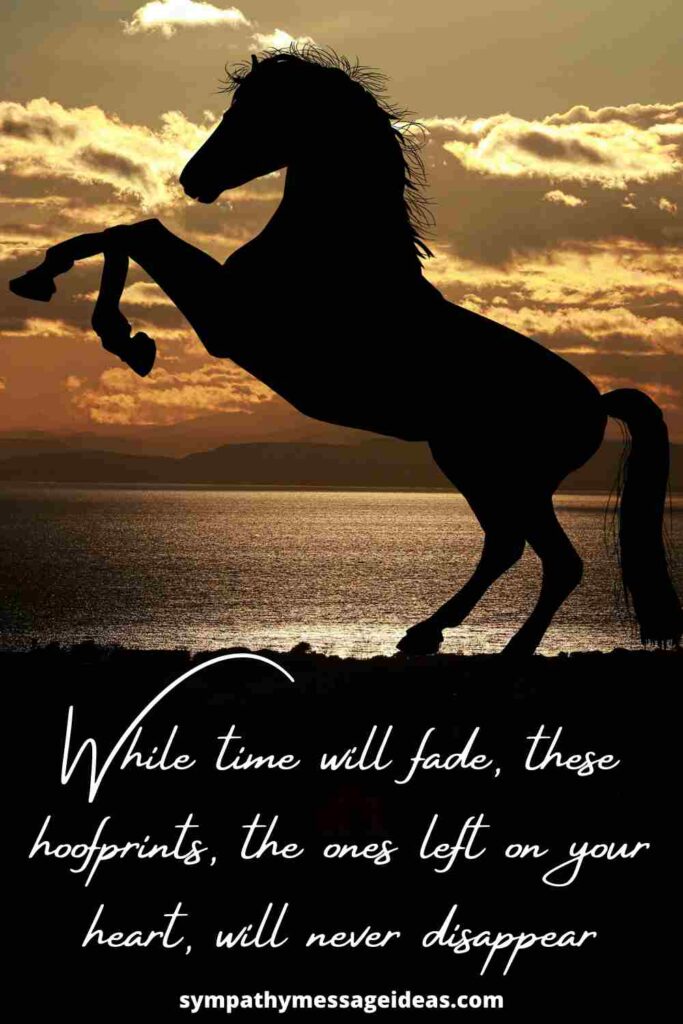 39 Moving Loss of Horse Quotes - Sympathy Message Ideas