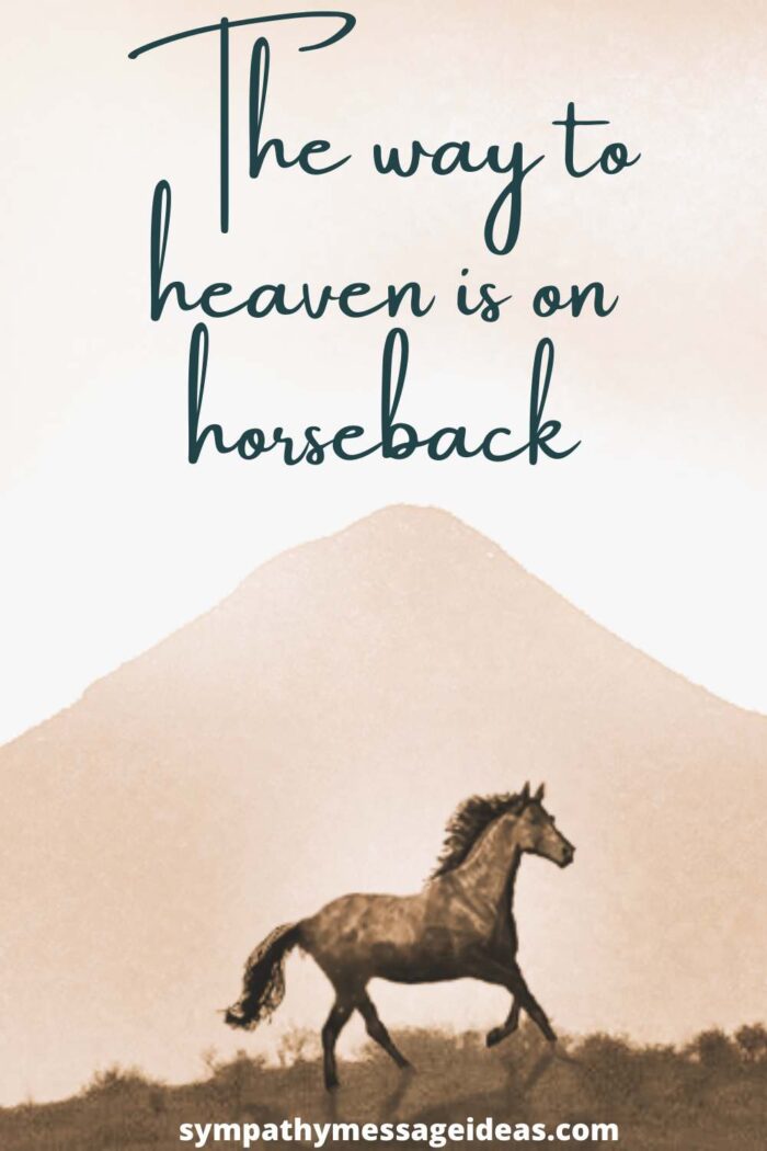 39 Moving Loss of Horse Quotes - Sympathy Message Ideas